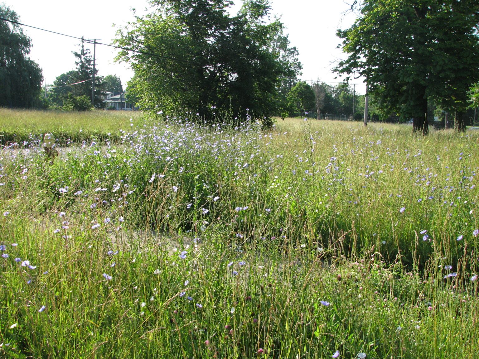 Drew Philp: Rehabbing Detroit one abandoned house at a time | U-M Detroit