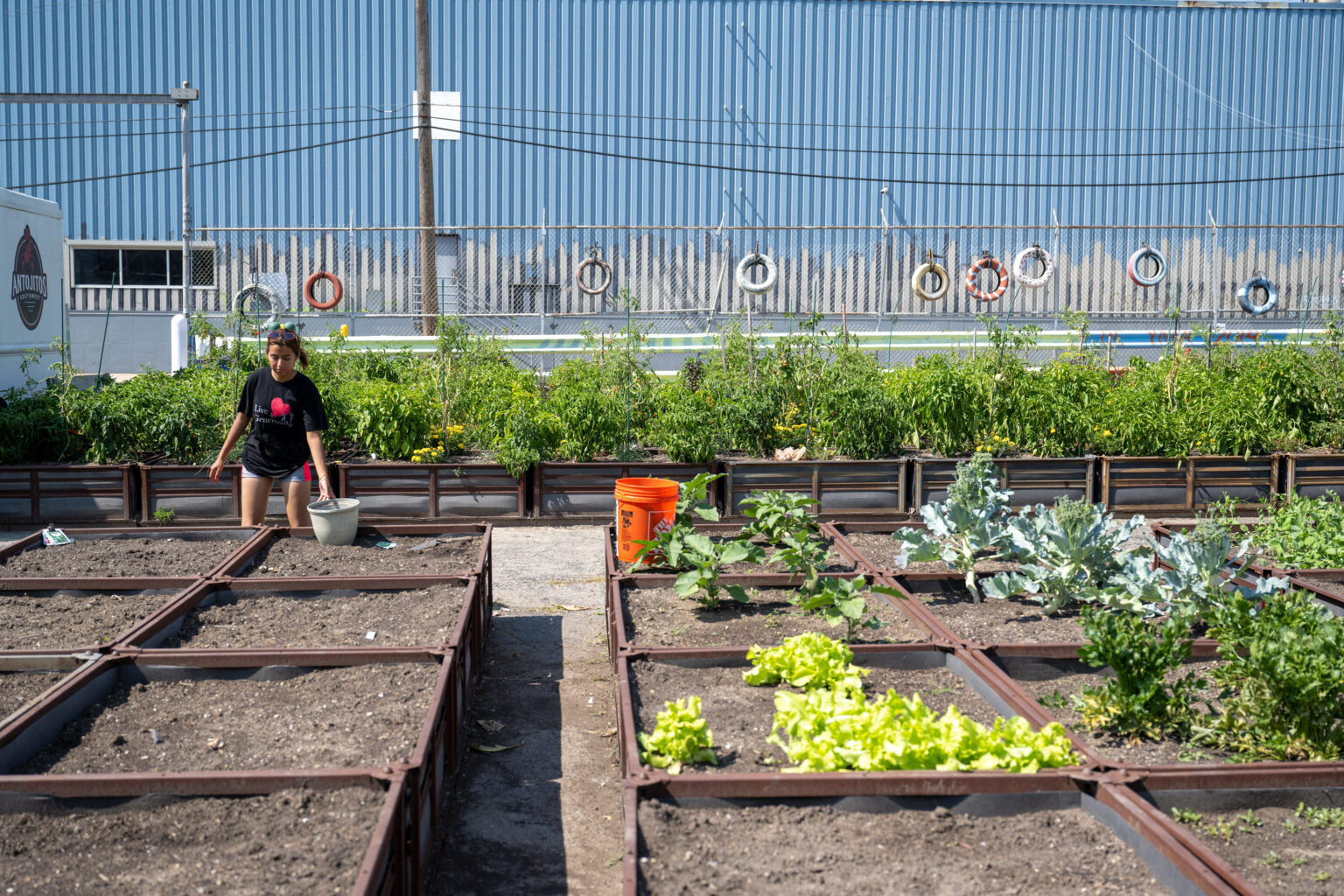 From garden to growth: This urban garden cultivates young leaders | U-M ...